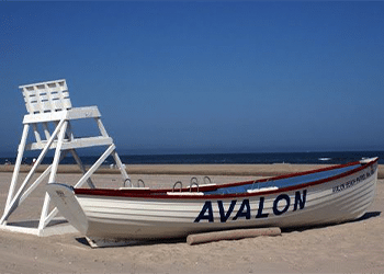 Park Avenue Shore Shuttle | Ventnor, Ocean City, Avalon & LBI